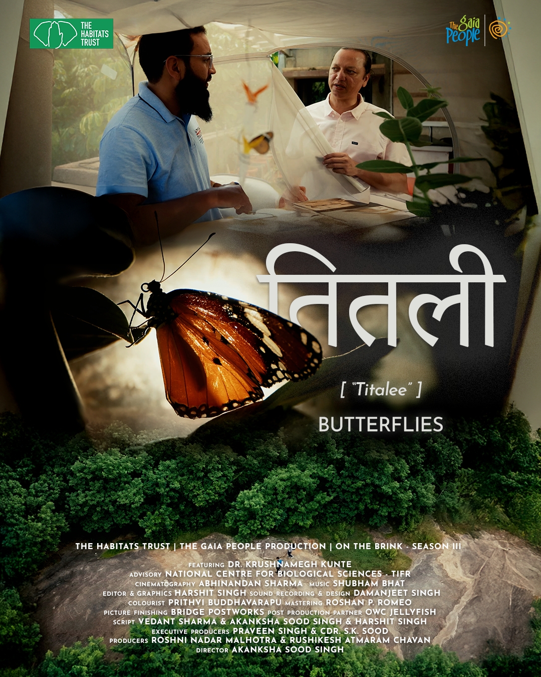 Titli - Butterflies — смотреть бесплатно на ZeroPlus.TV